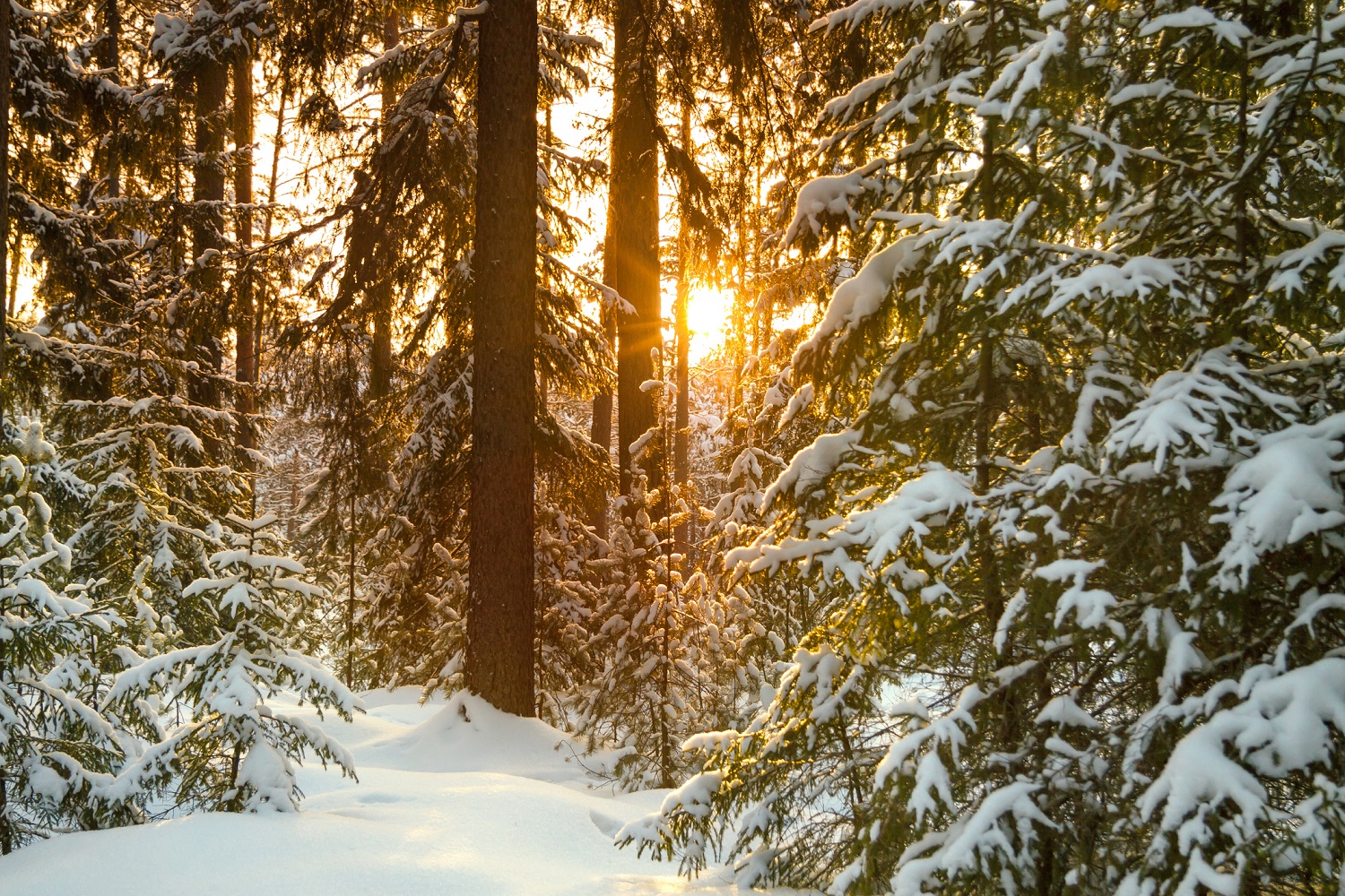 What Are The Best Places To Visit In February In The USA Select Registry