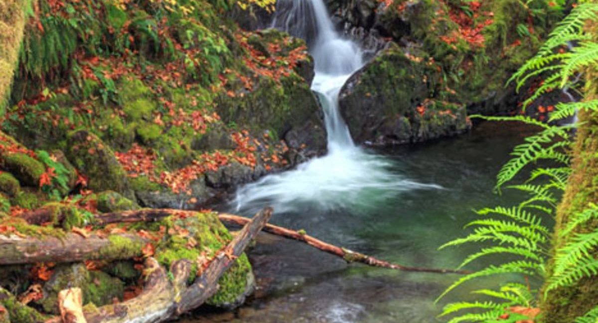 National Park Getaways to Avoid the Crowds | Select Registry