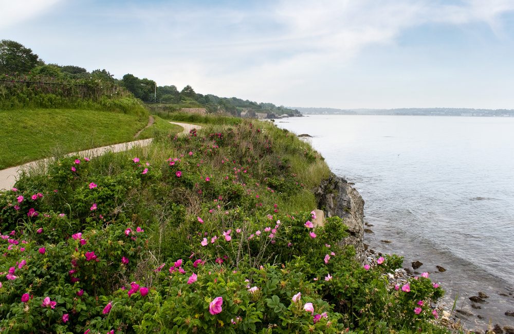 The Newport Cliff Walk Offers 3.5 Miles of Stunning Beauty
